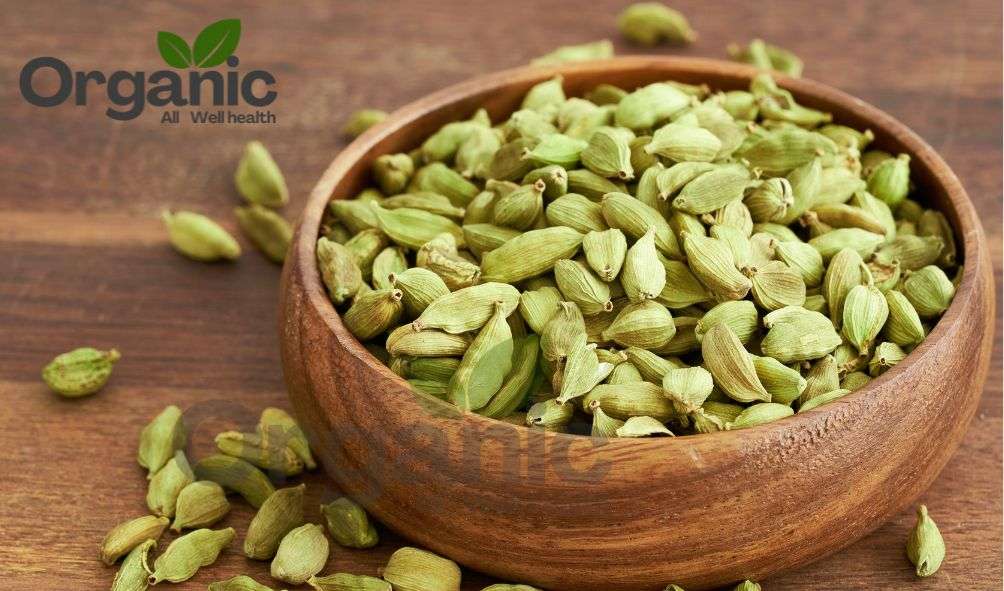 Cardamom Health Benefits in हिंदी - Allwellhealthorganic