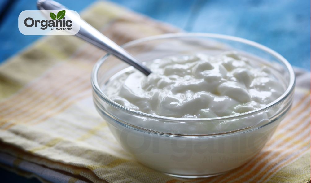 Is it safe to eat Dahi every day? Health Benefits and Side Effects