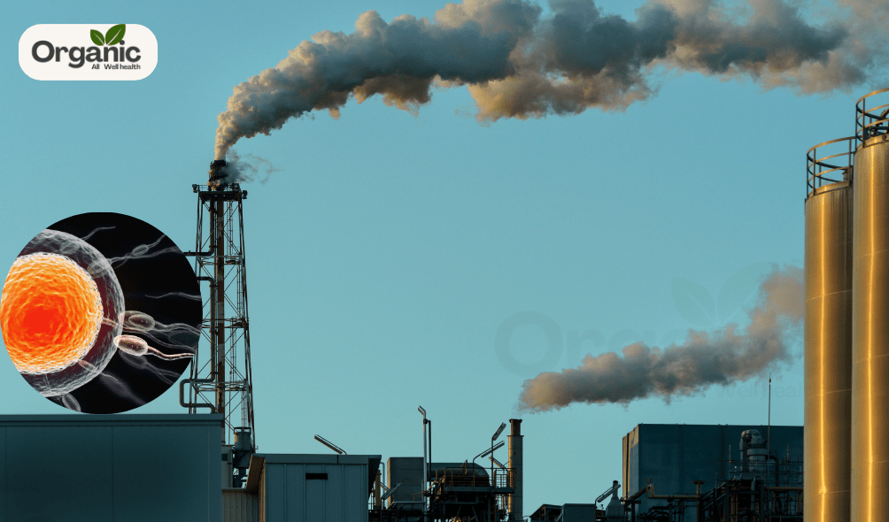 Toxic Air Quality:- How It Affects Sperm Health